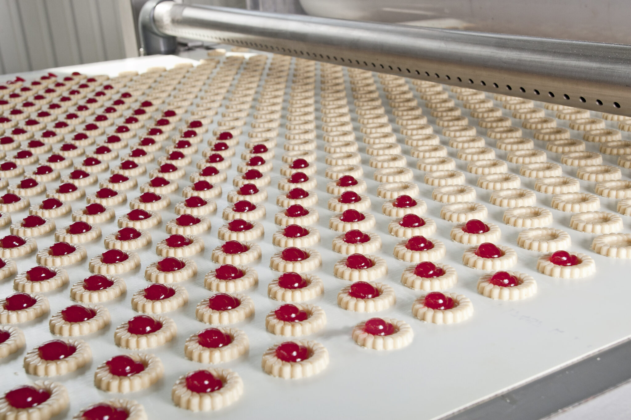 Food Industry – Universal Belting Resource